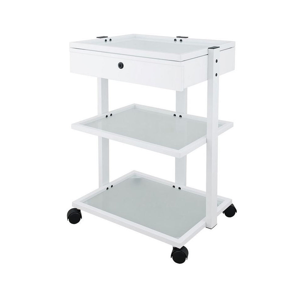 FACILE PLUS Aesthetic Cart - 1040A – Grupo Belleza